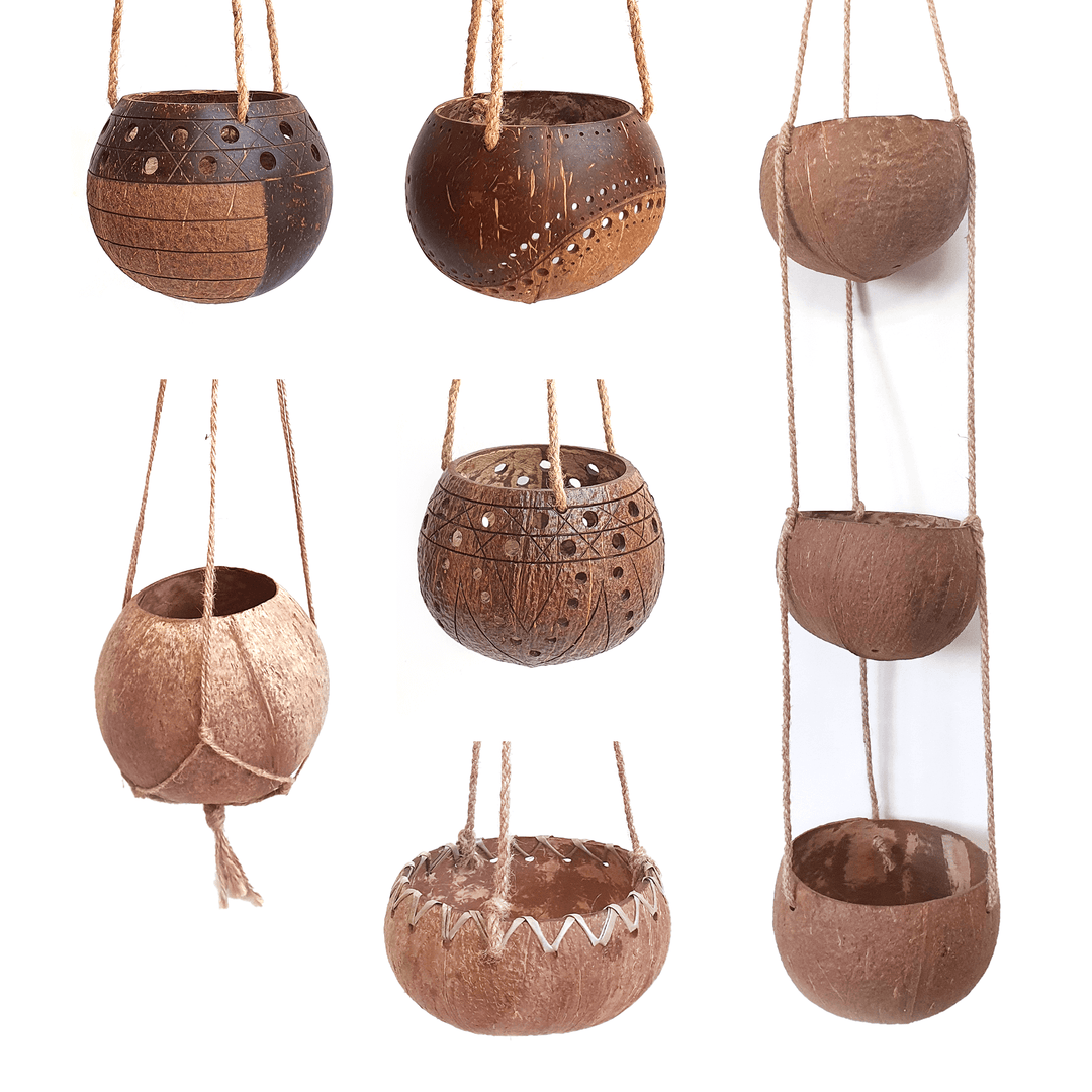 Natural, Unique Coconut Hanging Planters - Rainforest Bowls