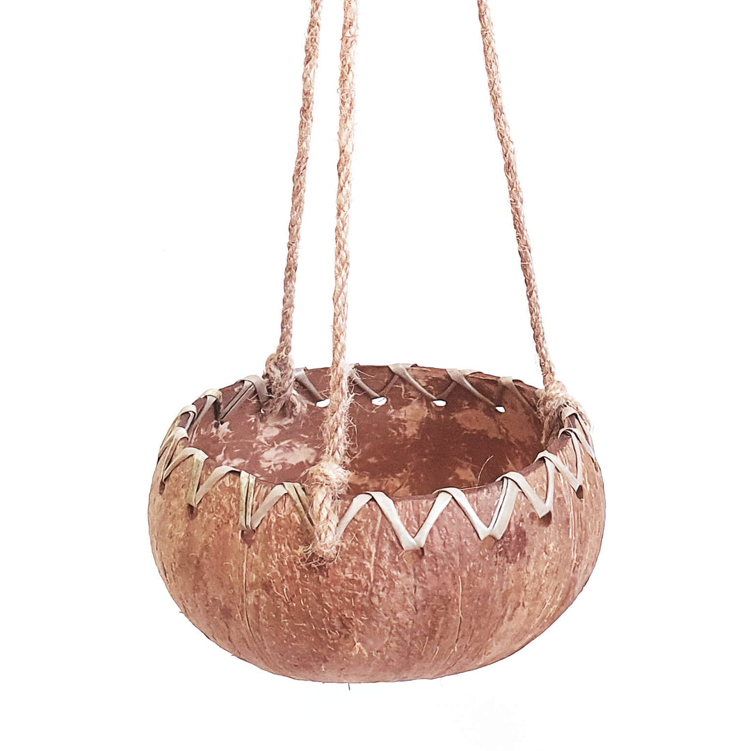 Natural, Unique Coconut Hanging Planters - Rainforest Bowls